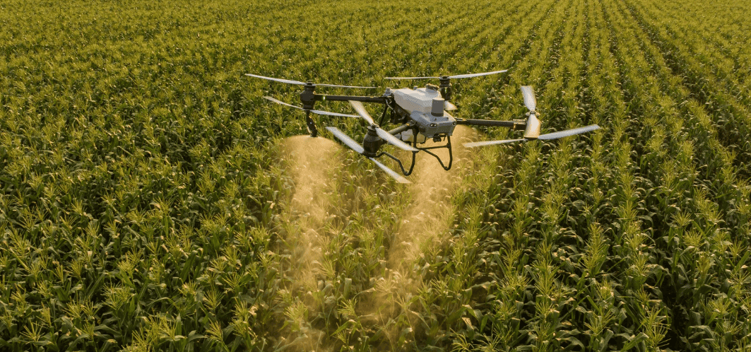 Producción agrícola en México: ¿cómo optimizarla gracias a la ...