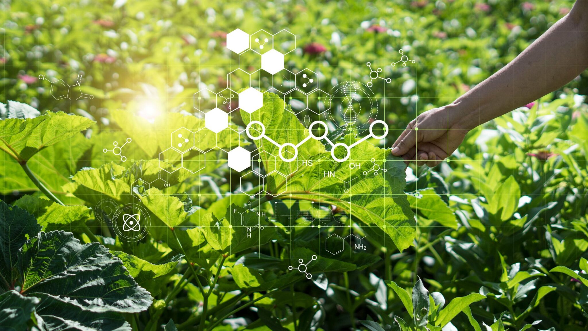 ¿Qué es la biotecnología y cómo impacta el agro? – Blog | Tecnología ...
